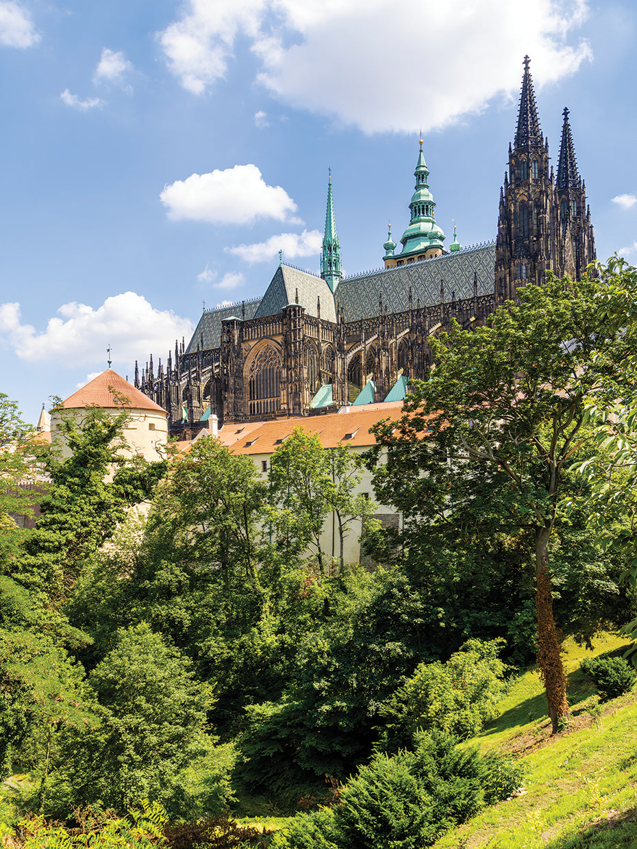 St. Vitus Cathedral with castle grounds and Stag Moat Wall Art by ...