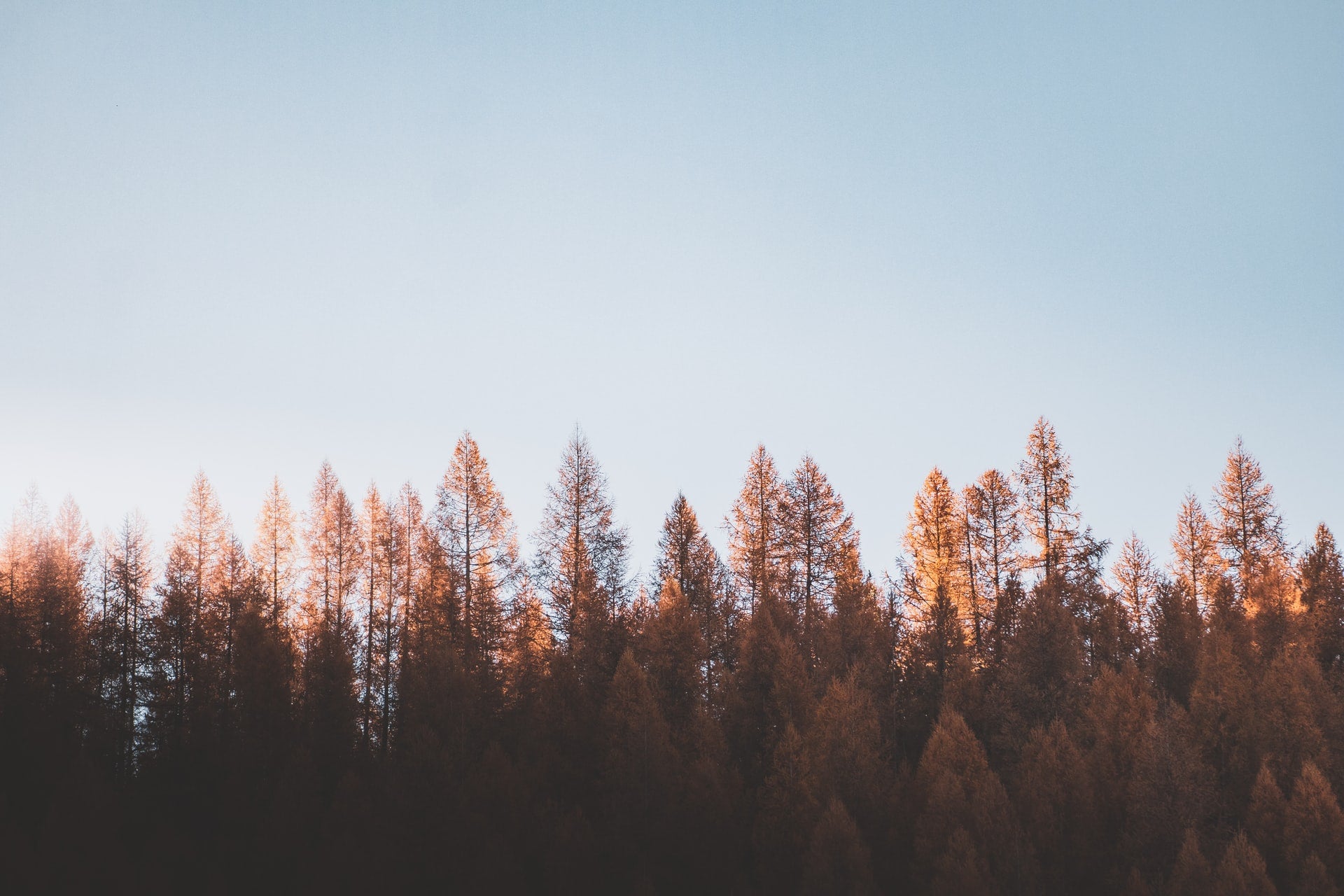 3 Canvas Prints We LOVE for Fall From Scott Living