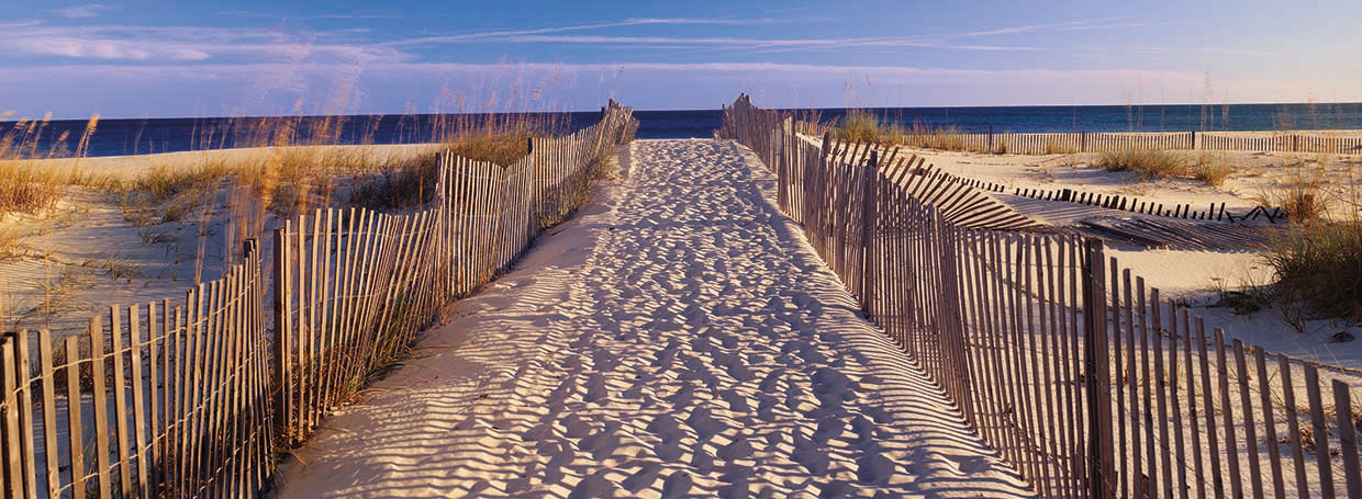 Joseph Sohm's Pathway to the Beach Canvas Art Prints | Fine Art Canvas