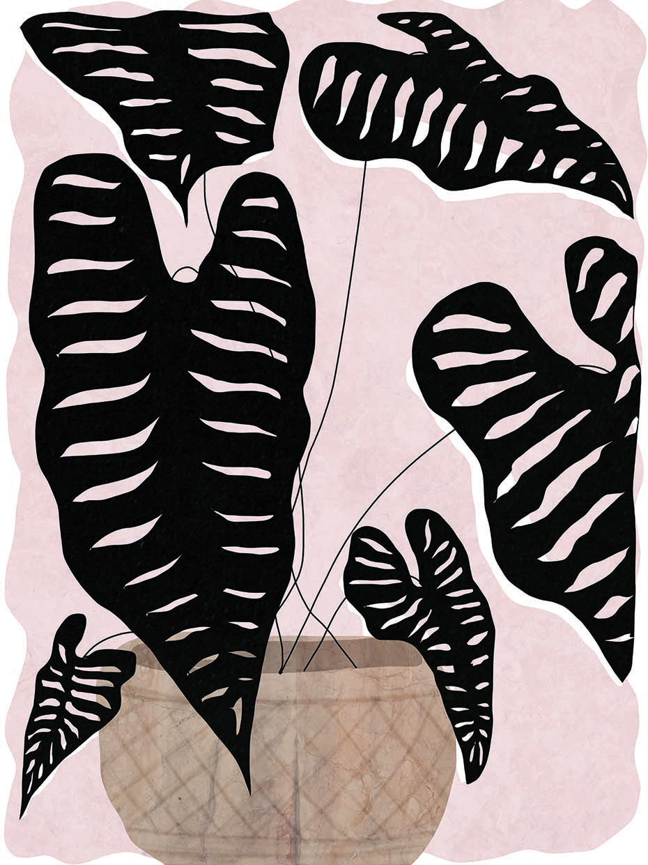 Daniela Santiago's Potted Plant II Canvas Art Prints | Fine Art Canvas