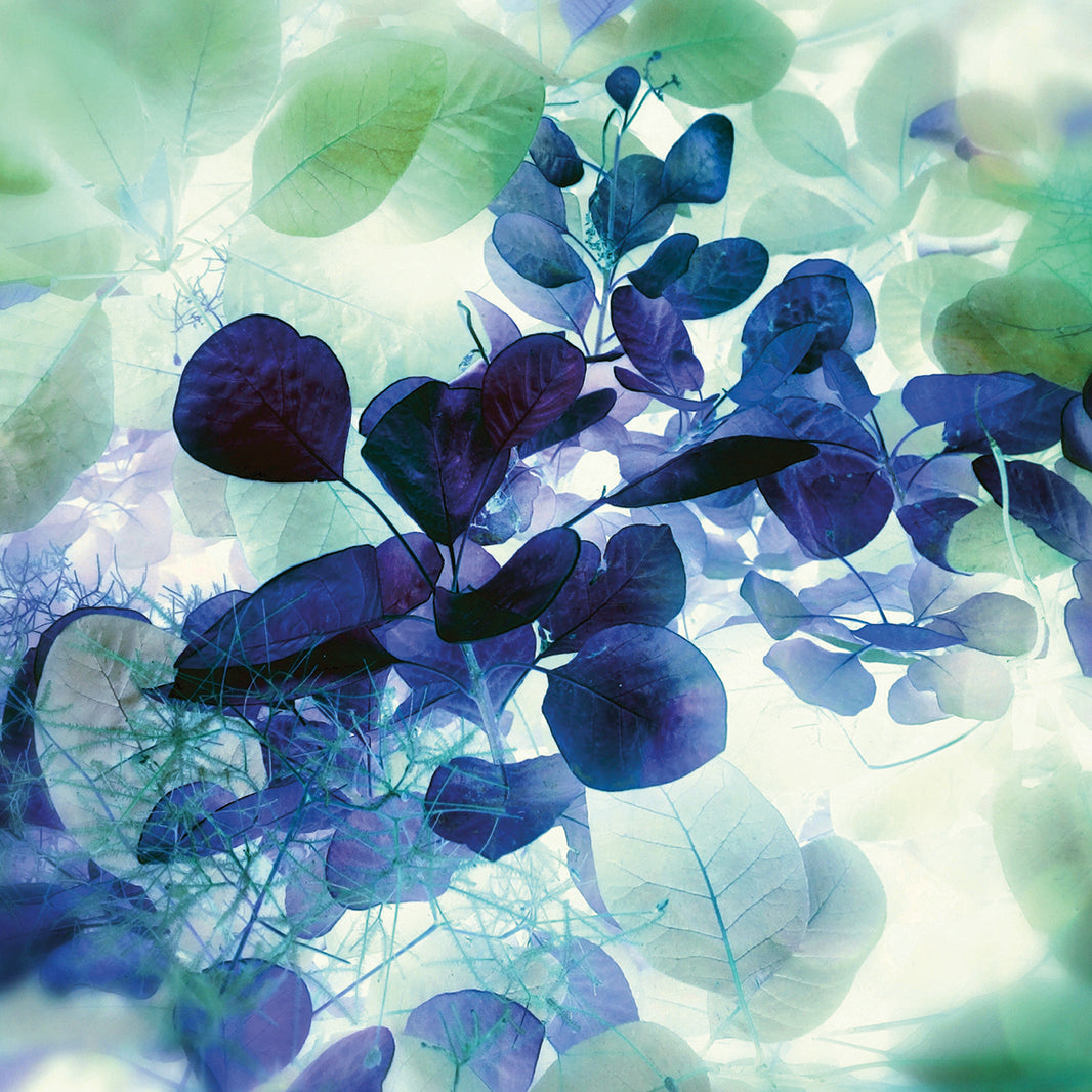 Shenandoah Fall by Anne Dillon Art | FineArtCanvas.com – Fineartcanvas.com