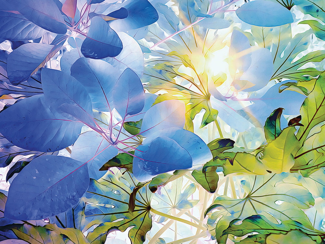 Shenandoah Fall by Anne Dillon Art | FineArtCanvas.com – Fineartcanvas.com