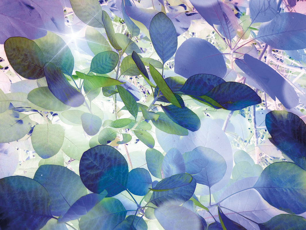 Shenandoah Fall by Anne Dillon Art | FineArtCanvas.com – Fineartcanvas.com