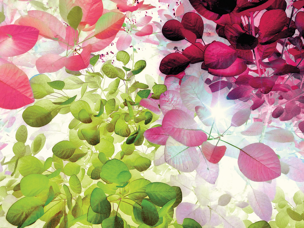 Shenandoah Fall by Anne Dillon Art | FineArtCanvas.com – Fineartcanvas.com