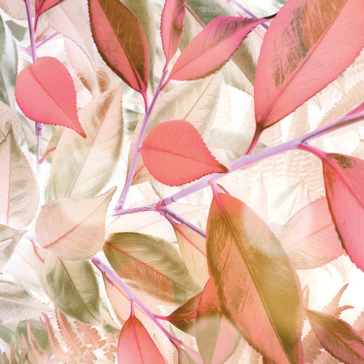 Shenandoah Fall by Anne Dillon Art | FineArtCanvas.com – Fineartcanvas.com