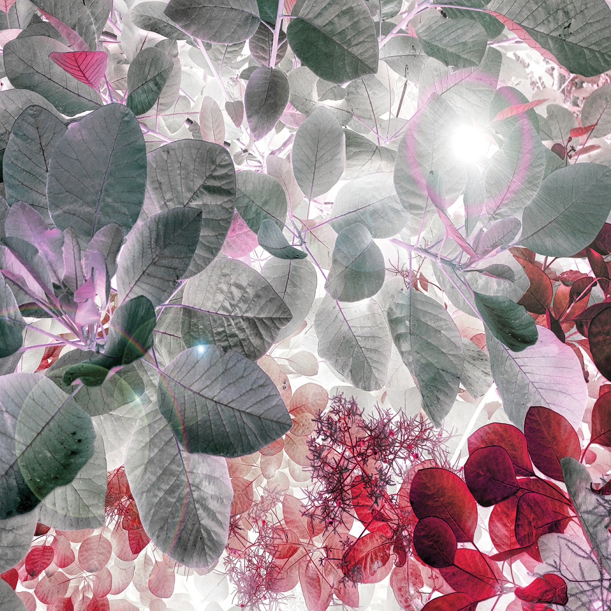 Shenandoah Fall by Anne Dillon Art | FineArtCanvas.com – Fineartcanvas.com