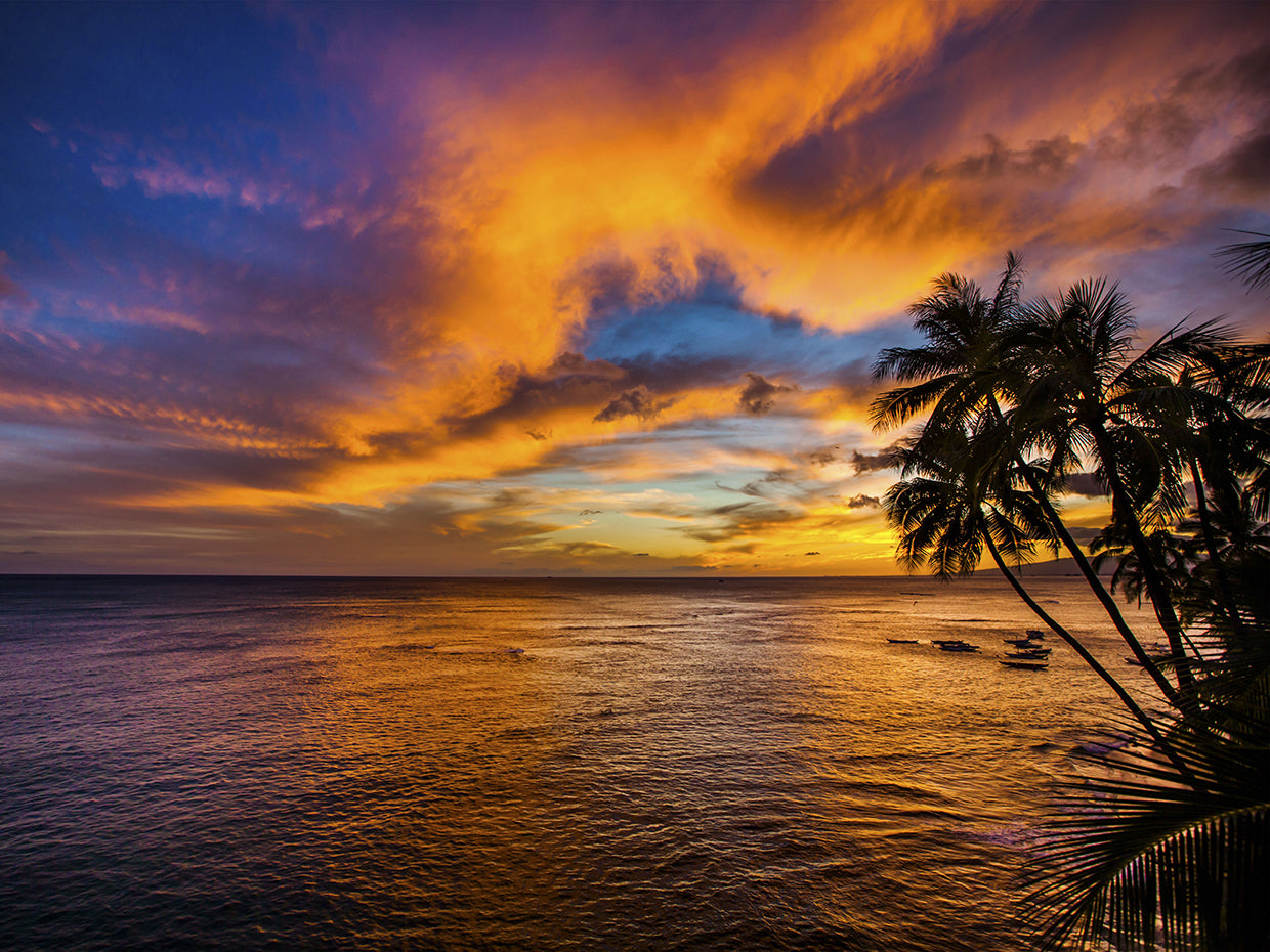 Gold Coast Sunset 2 by Cameron Brooks | FineArtCanvas.com ...