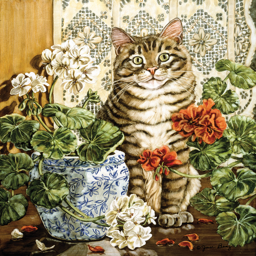 Jan Benz's Cosmos & Lace Canvas Art Prints | Fine Art Canvas ...