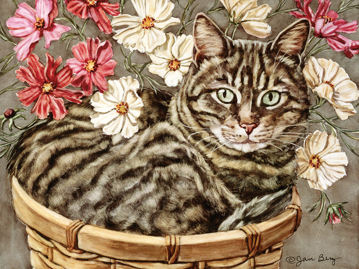 Jan Benz's Cosmos & Lace Canvas Art Prints | Fine Art Canvas ...