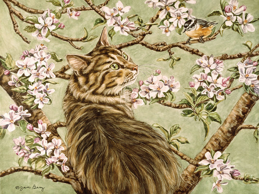 Jan Benz's Cosmos & Lace Canvas Art Prints | Fine Art Canvas ...