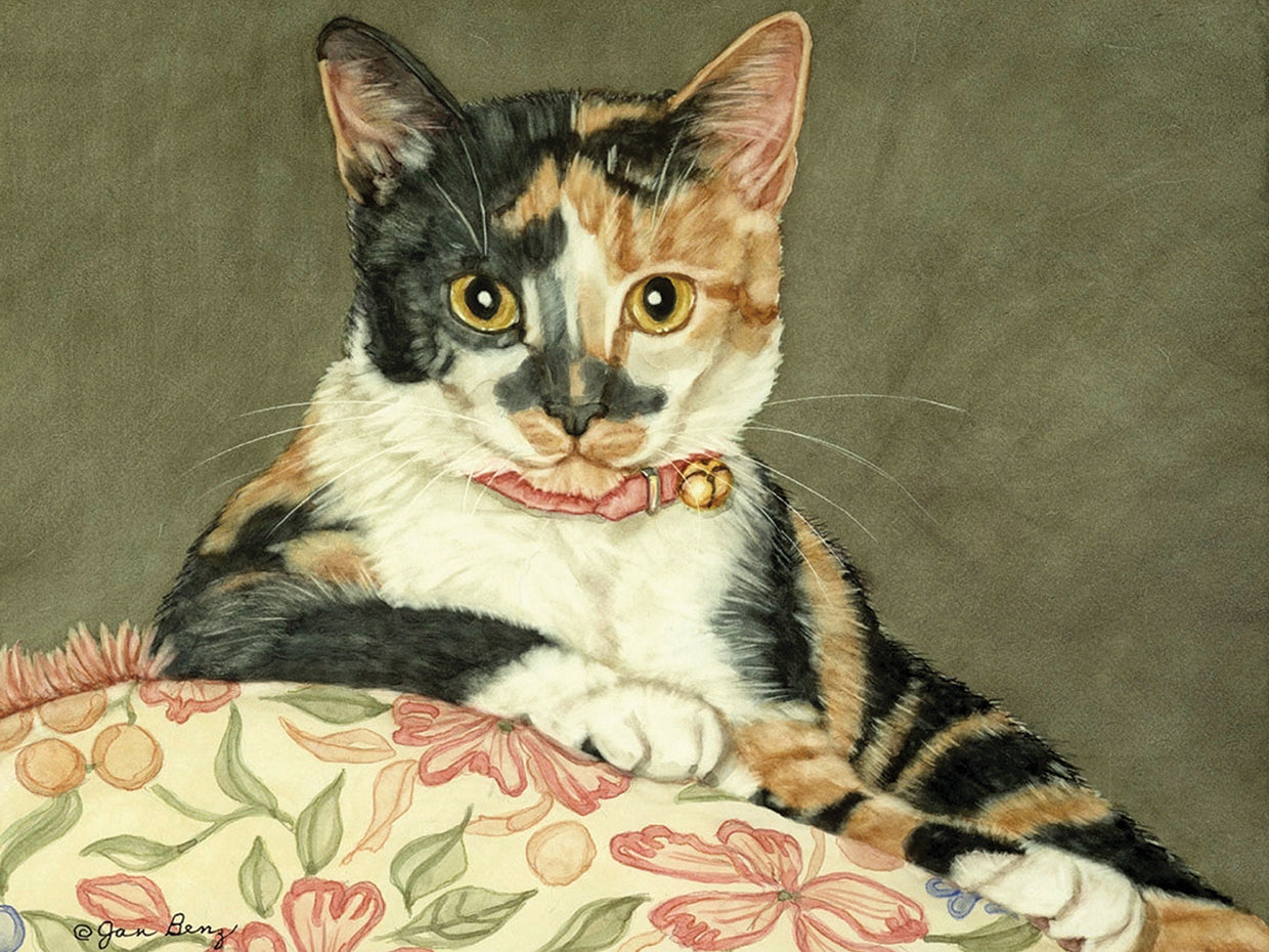 Jan Benz's Cosmos & Lace Canvas Art Prints | Fine Art Canvas ...