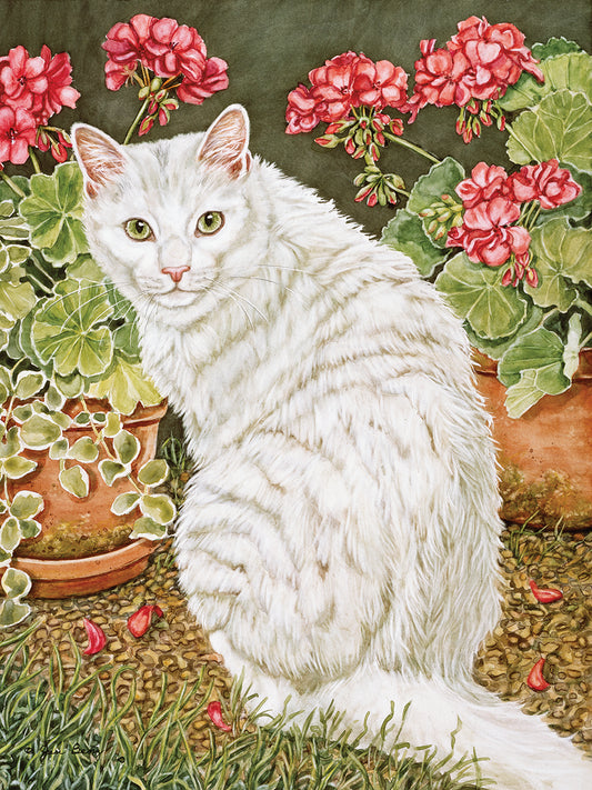 Jan Benz's Cosmos & Lace Canvas Art Prints | Fine Art Canvas ...