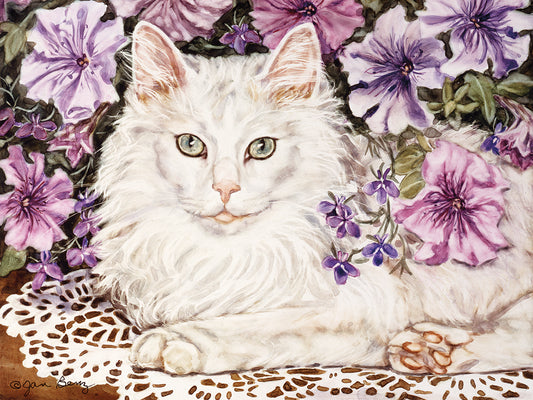 Jan Benz's Cosmos & Lace Canvas Art Prints | Fine Art Canvas ...