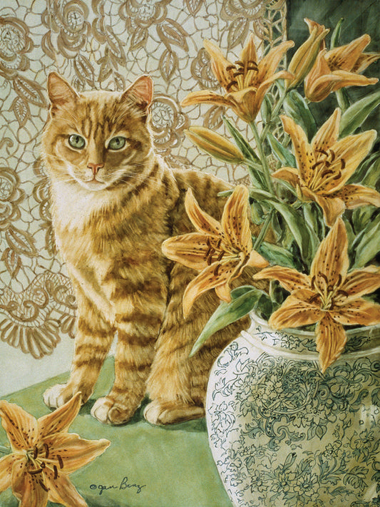 Jan Benz's Cosmos & Lace Canvas Art Prints | Fine Art Canvas ...