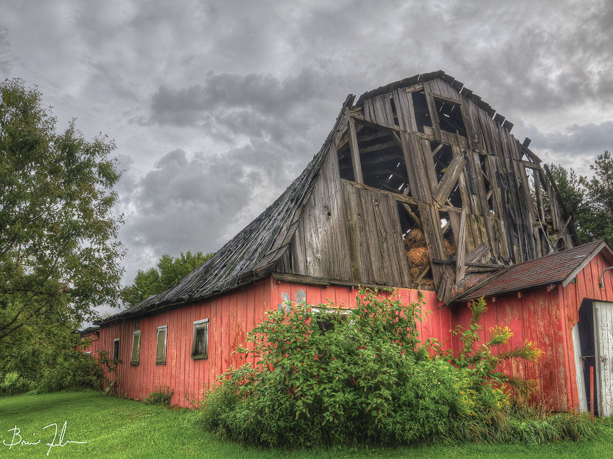 FIVEfishcreative's Barn Storming Canvas Art Prints | Fine Art Canvas