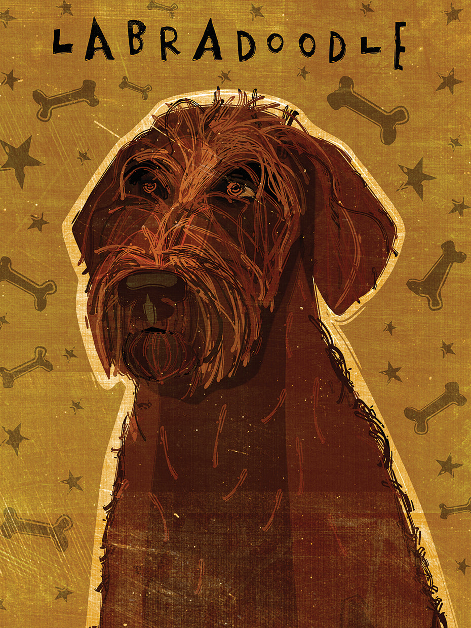 John W. Golden's Chocolate Labradoodle Canvas Art Prints | Fine Art ...
