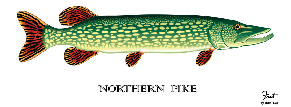 Mark Frost's Our Lake Fishing Camp Canvas Art Prints | Fine Art Canvas ...