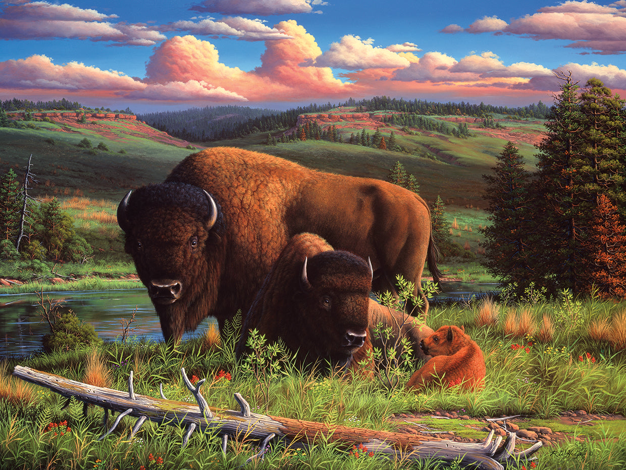 Buffalo Nation by R W Hedge | FineArtCanvas.com – Fineartcanvas.com