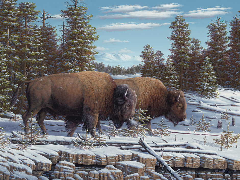 Buffalo Nation by R W Hedge | FineArtCanvas.com – Fineartcanvas.com