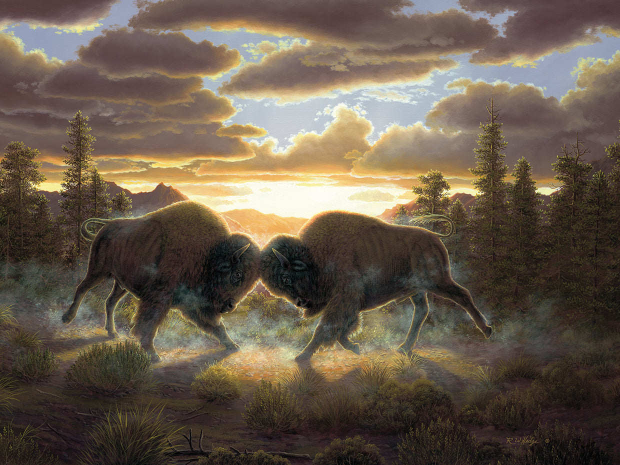 Buffalo by R W Hedge | FineArtCanvas.com – Fineartcanvas.com