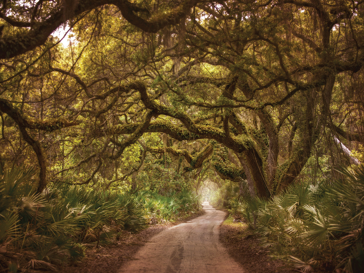 Wiff Harmer's Grand Avenue Canvas Prints For Sale | Fine Art Canvas ...