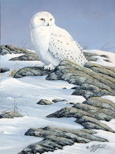 Wilhelm Goebel's Loon In Reeds Canvas Art Prints | Fine Art Canvas ...