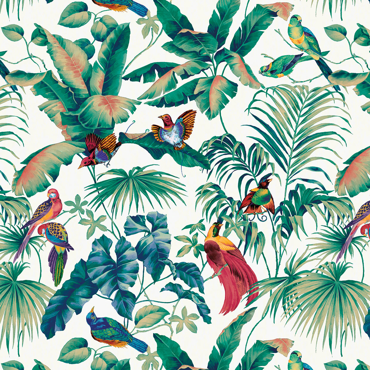 Bill Jackson's Jungle Canopy Multi Canvas Art Prints | Fine Art Canvas