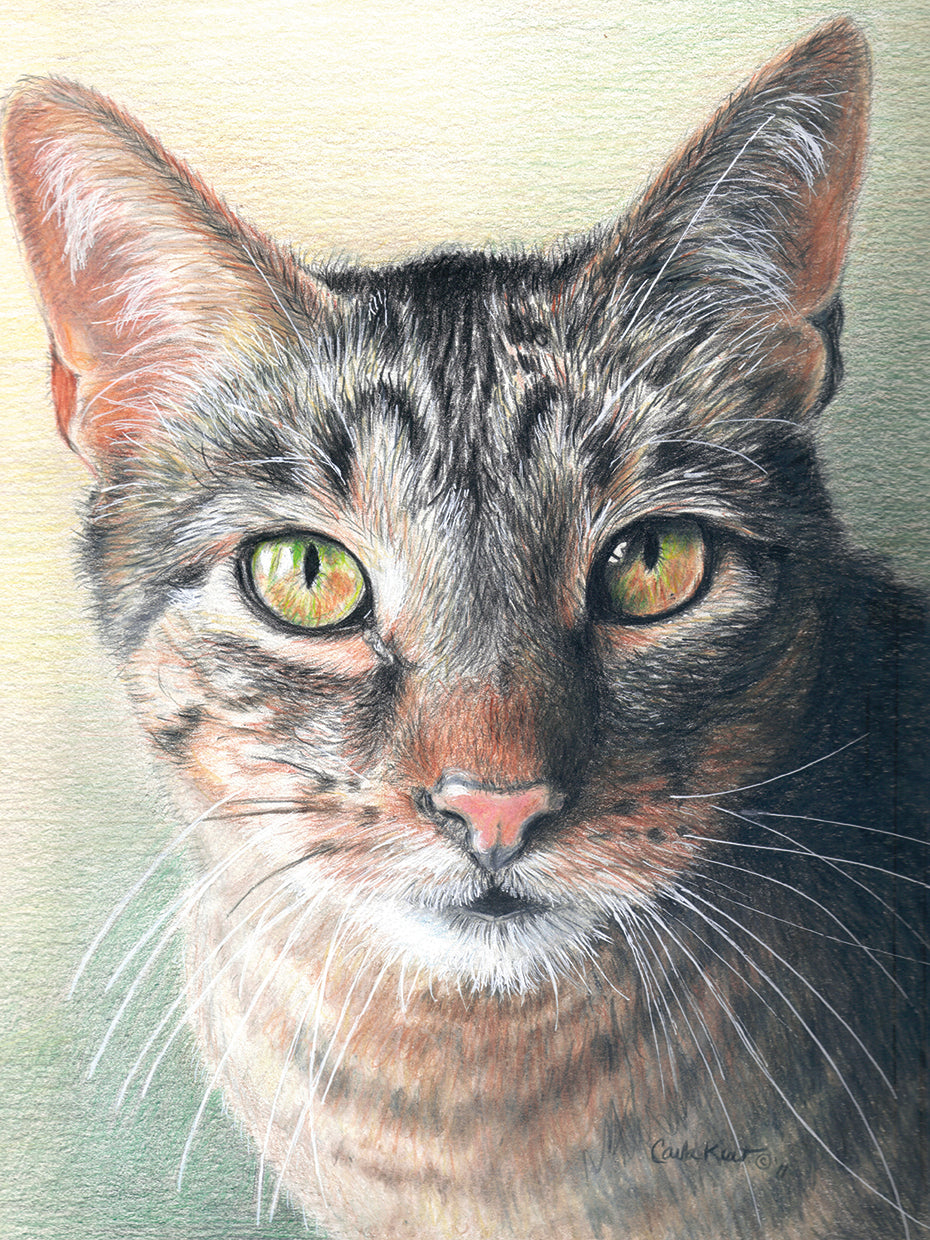 Curious Eyes by Carla Kurt | FineArtCanvas.com – Fineartcanvas.com