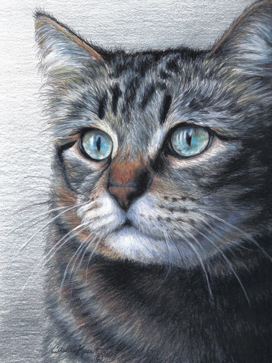 Curious Eyes by Carla Kurt | FineArtCanvas.com – Fineartcanvas.com