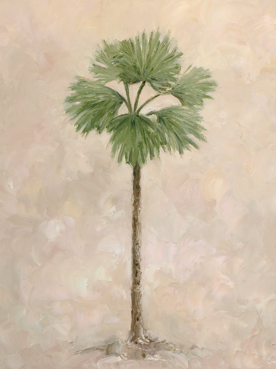 Debra Lake's Palm Tree 3 Canvas Art Prints | Fine Art Canvas