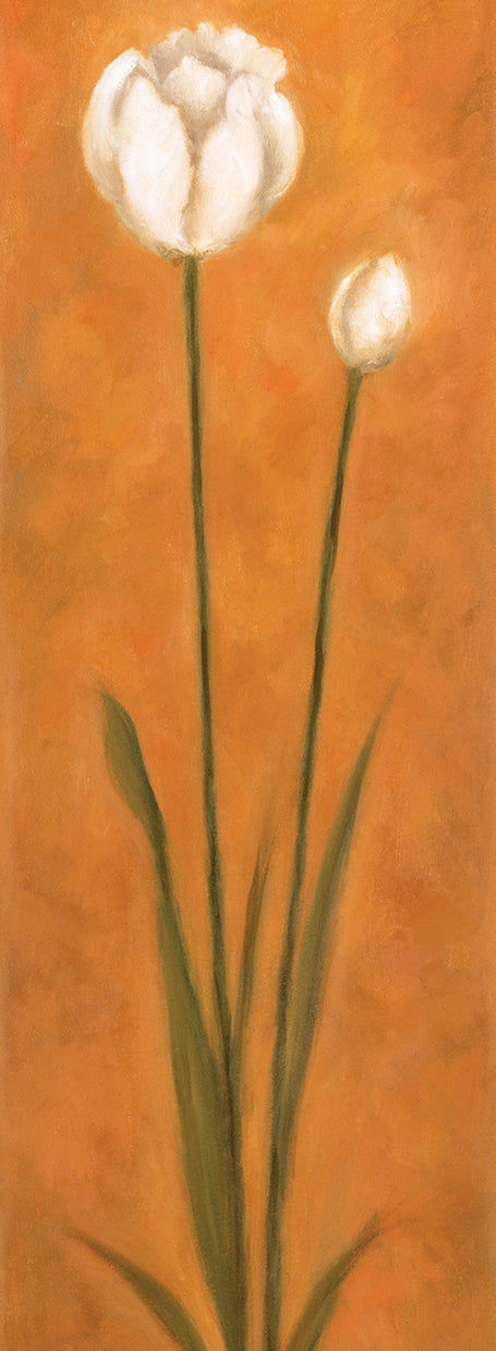 Debra Lake's Tulip Canvas Art Prints | Fine Art Canvas