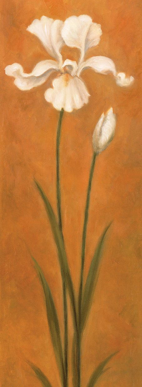 Debra Lake's Iris Canvas Art Prints | Fine Art Canvas