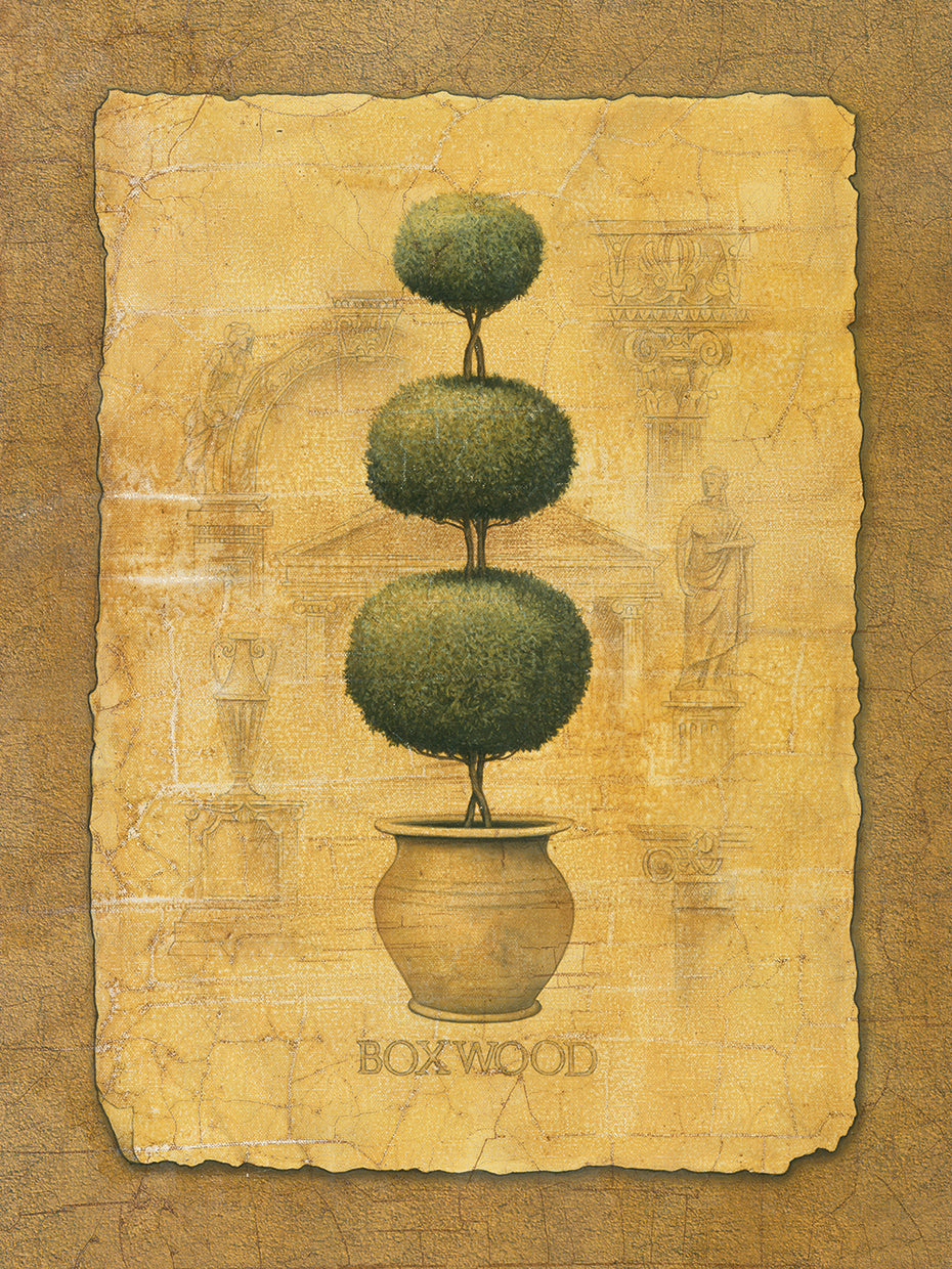 Boxwood Wall Art by Debra Lake | Fine Art Canvas