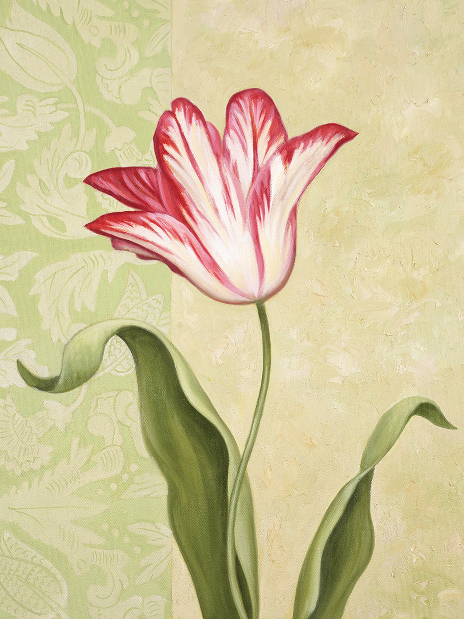 Tulip Wall Art by Debra Lake | Fine Art Canvas