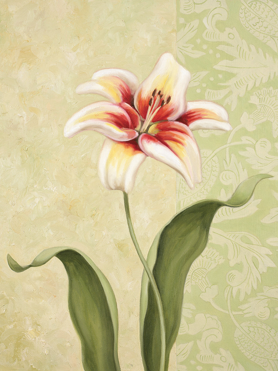 Lily Wall Art by Debra Lake | Fine Art Canvas