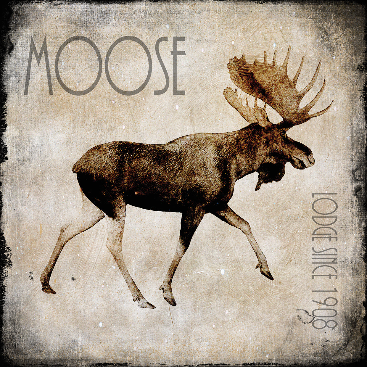 LightBoxJournal's Moose Lodge 2 Canvas Art Prints | Fine Art Canvas