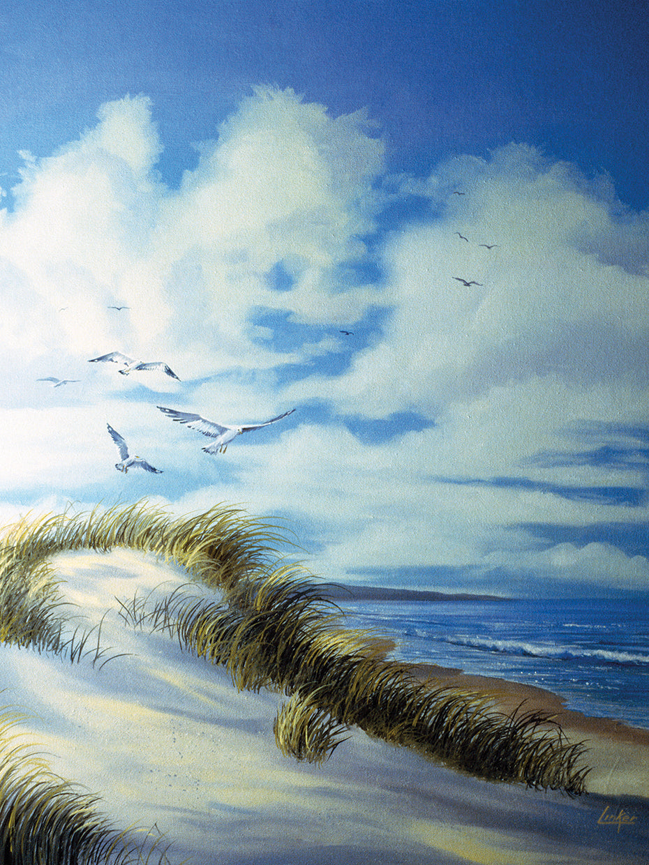 Flying Seaguls Wall Art by Thomas Linker | Fine Art Canvas