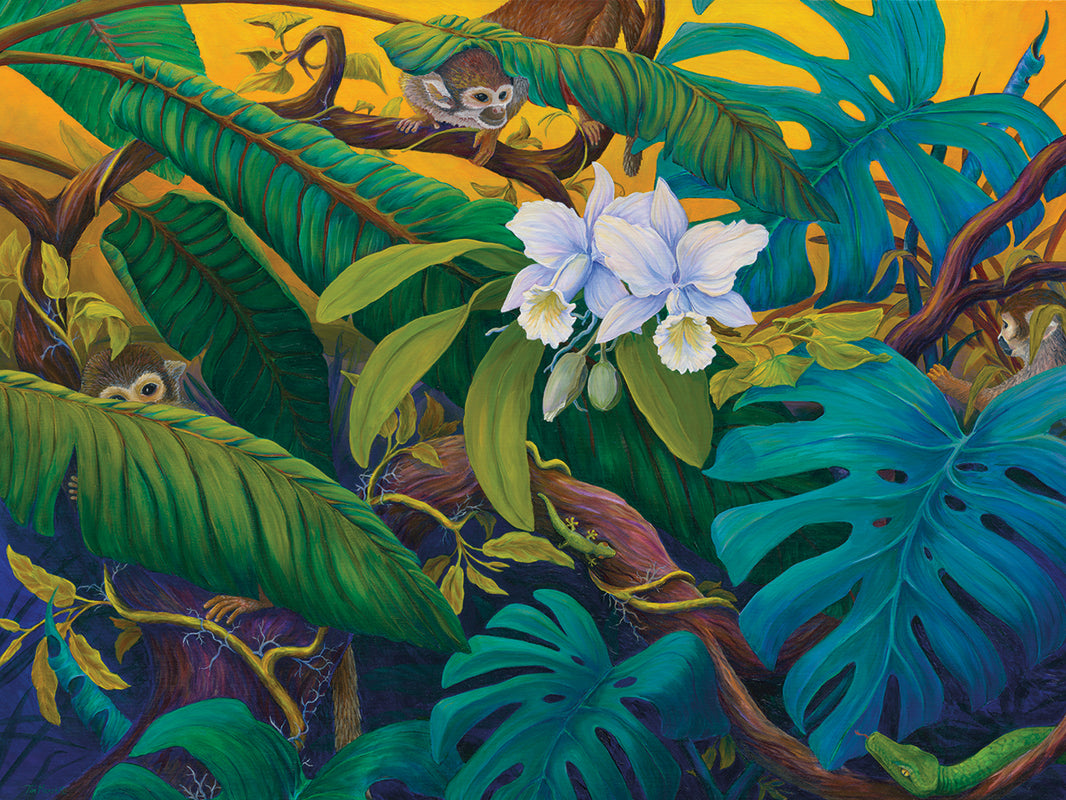 Gree Violet Eared Humming Bird by Tim Marsh | FineArtCanvas.com ...