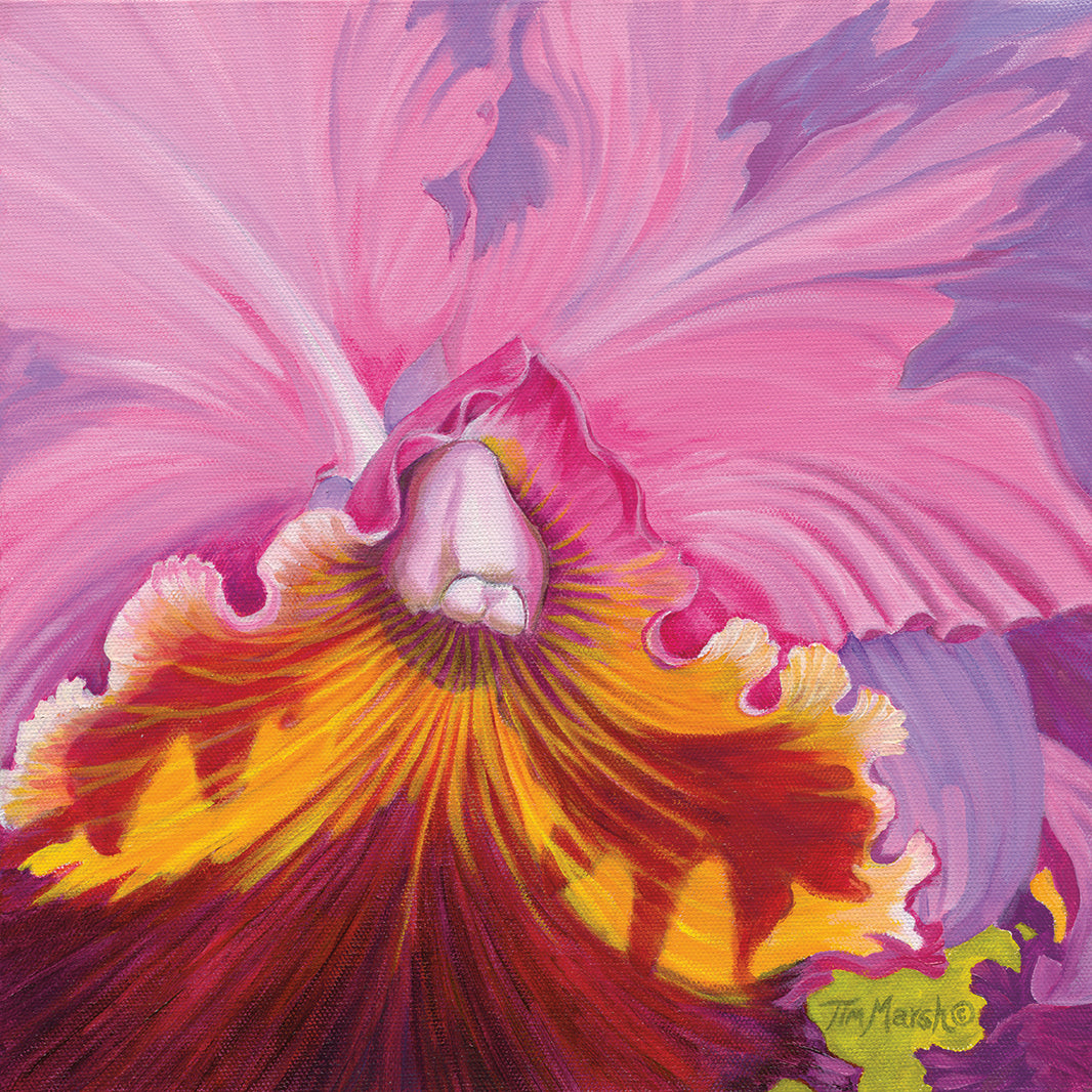 Gree Violet Eared Humming Bird by Tim Marsh | FineArtCanvas.com ...