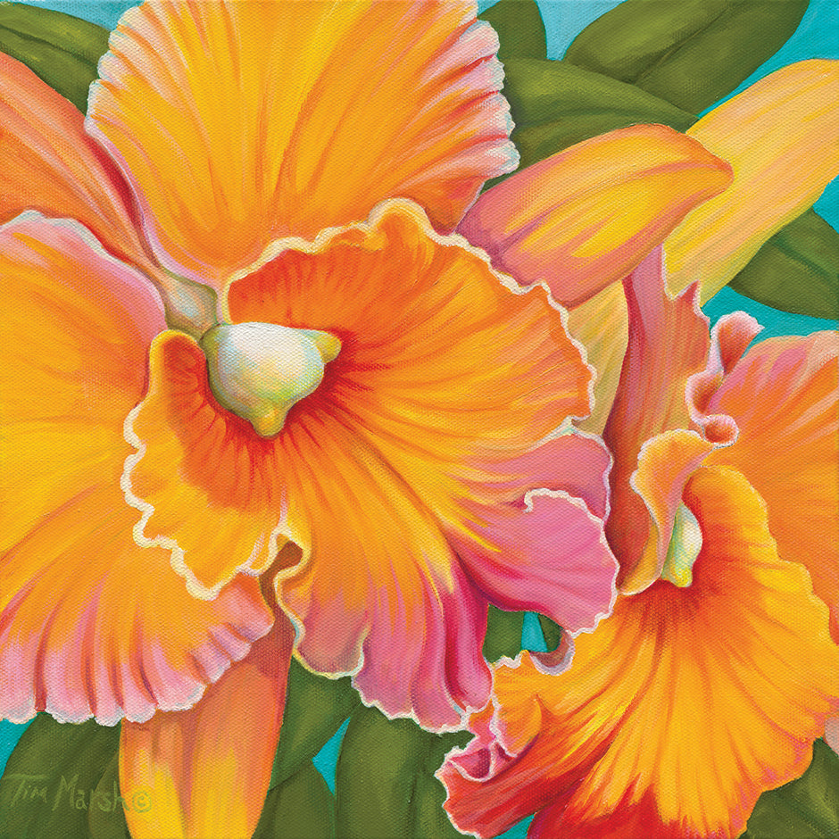 Gree Violet Eared Humming Bird by Tim Marsh | FineArtCanvas.com ...