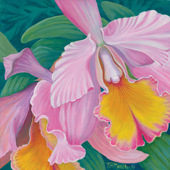 Gree Violet Eared Humming Bird by Tim Marsh | FineArtCanvas.com ...