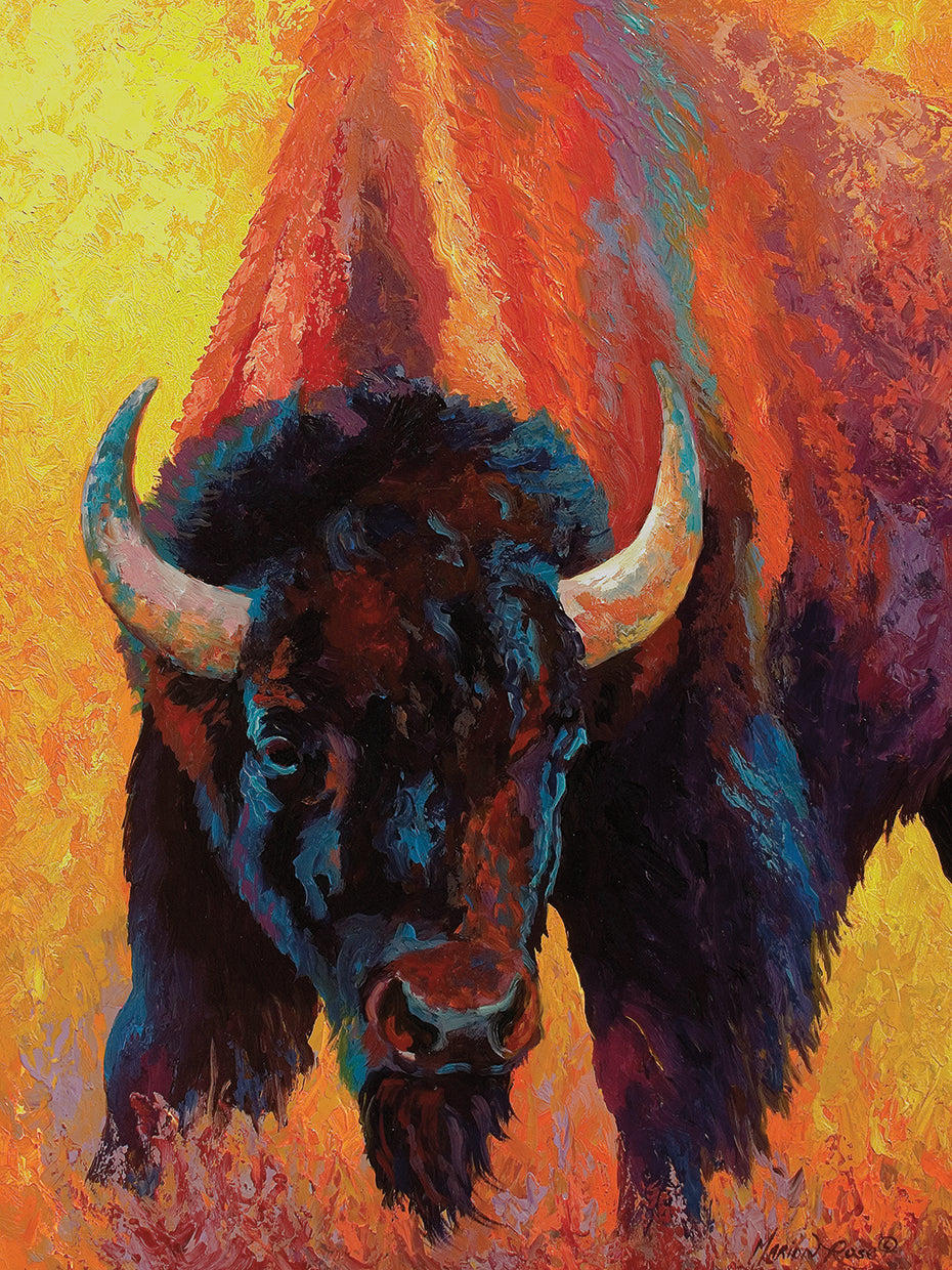 Back Off Bison Wall Art by Marion Rose | Fine Art Canvas