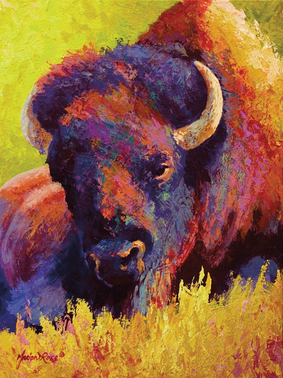 Timeless Spirit Bison Wall Art by Marion Rose | Fine Art Canvas