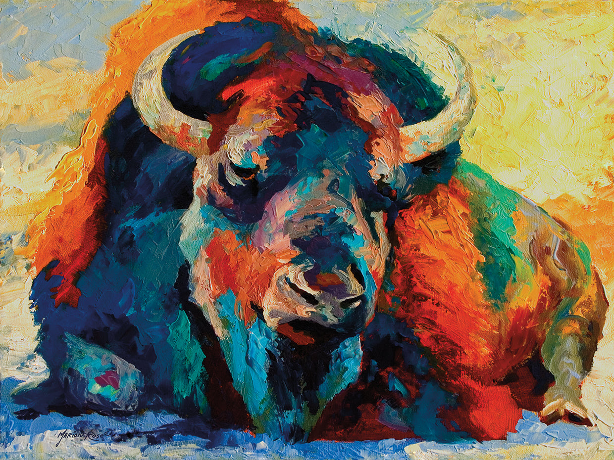 Marion Rose Winter Bison Canvas Art Prints For Sale – Fineartcanvas.com