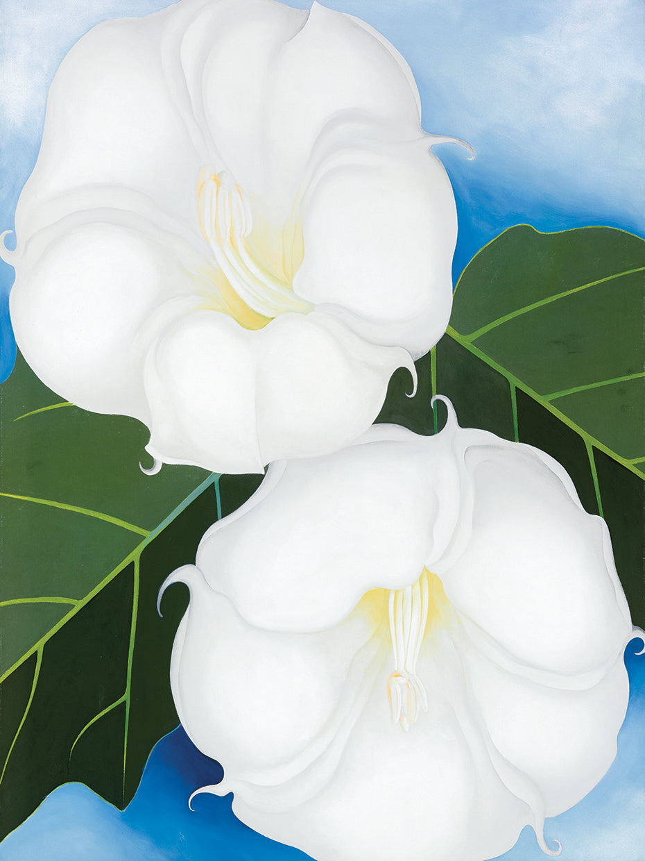 O'Keefe-Two Jimson Weeds Wall Art by Portfolio Arts Group | Fine Art Canvas