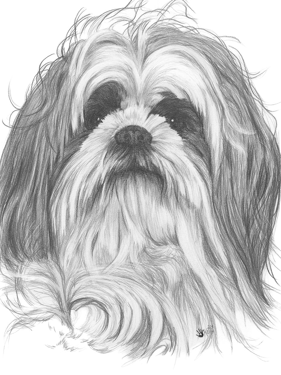 Barbara Keith's Shih-Poo Canvas Art Prints | Fine Art Canvas