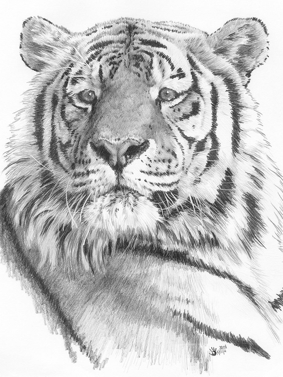 Barbara Keith's Charisma Canvas Art Prints For Sale – Fineartcanvas.com