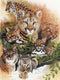 Barbara Keith's Feline Rhapsody Canvas Art Prints | Fine Art Canvas