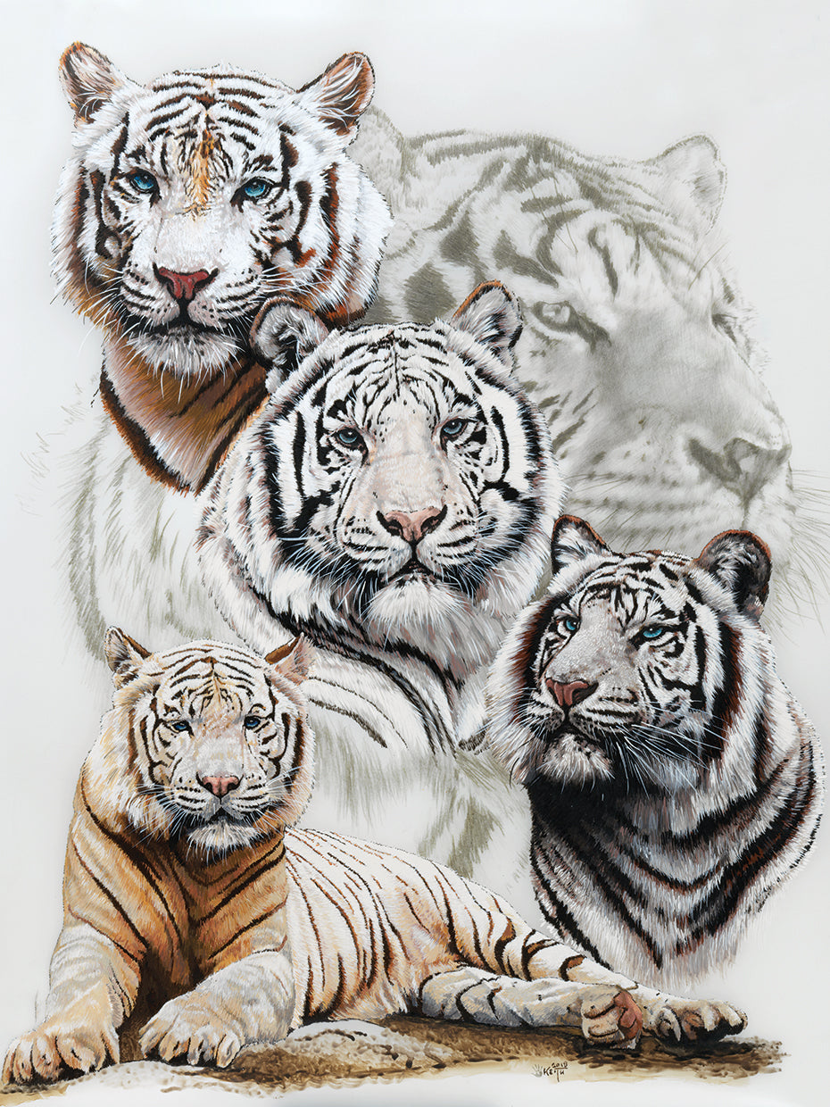 Barbara Keith's Baron Canvas Art Prints | Fine Art Canvas