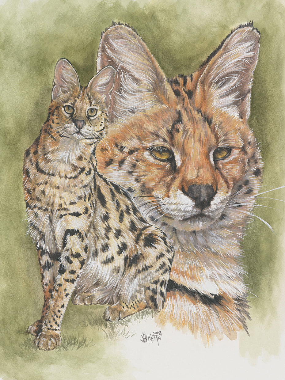 Tempo by Barbara Keith | FineArtCanvas.com – Fineartcanvas.com